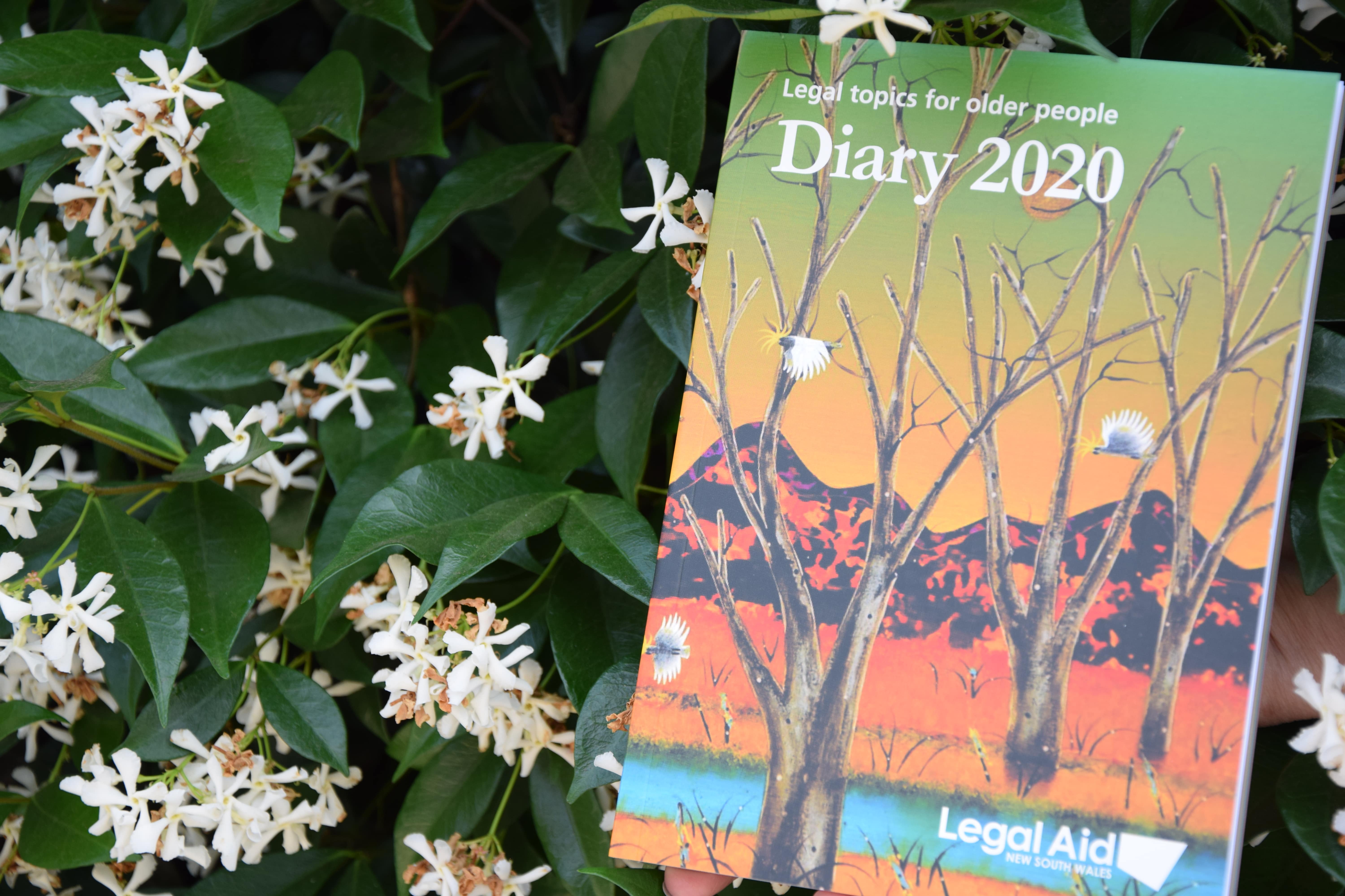 Free Diary Empowers Seniors to Know Their Rights - Alister Henskens SC ...