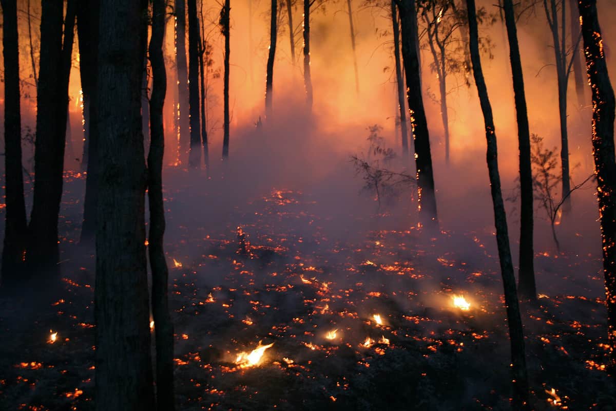 Get Ready For Bush Fire Season - Alister Henskens SC MP - Member for ...